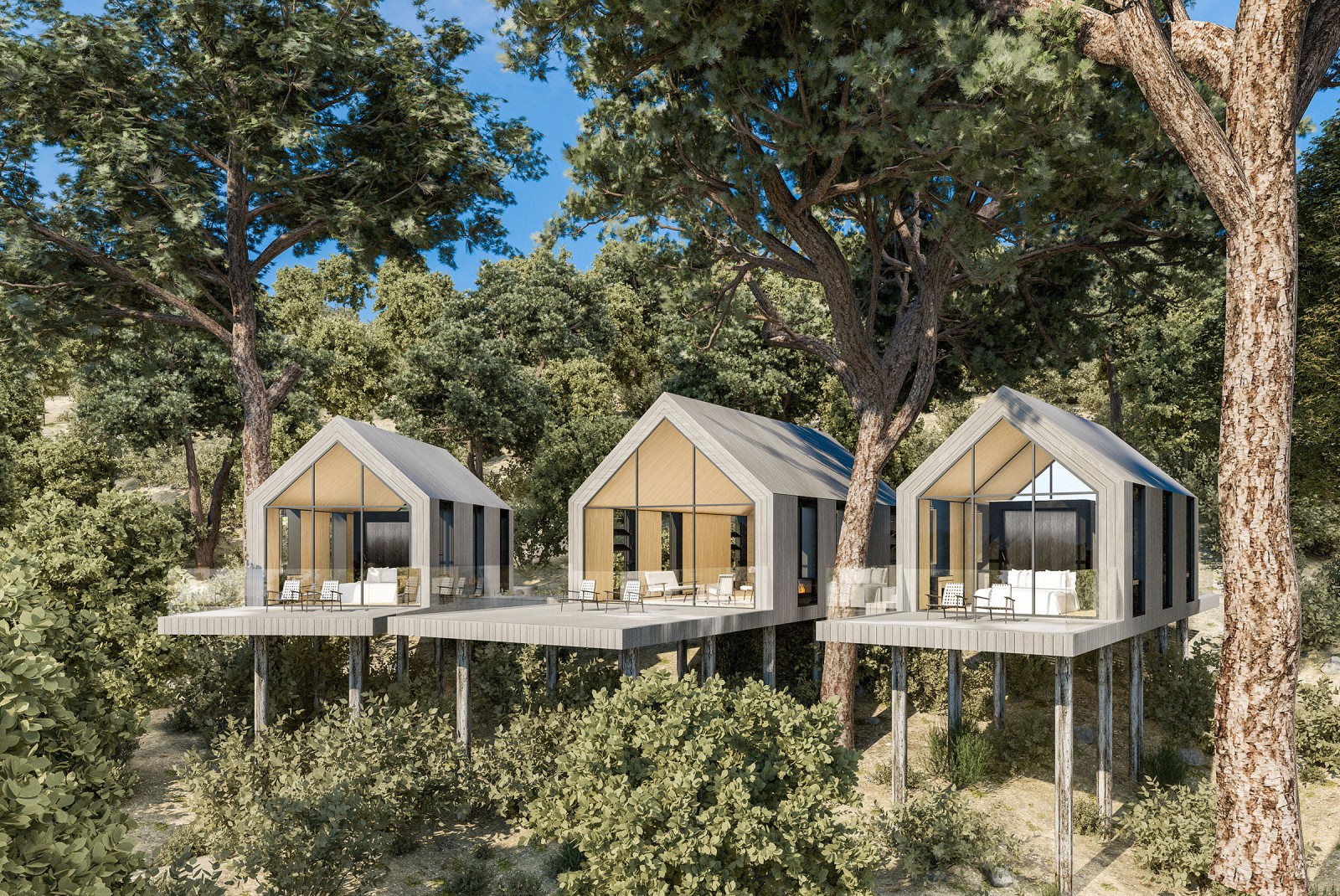 Chafik Studio — Accueil